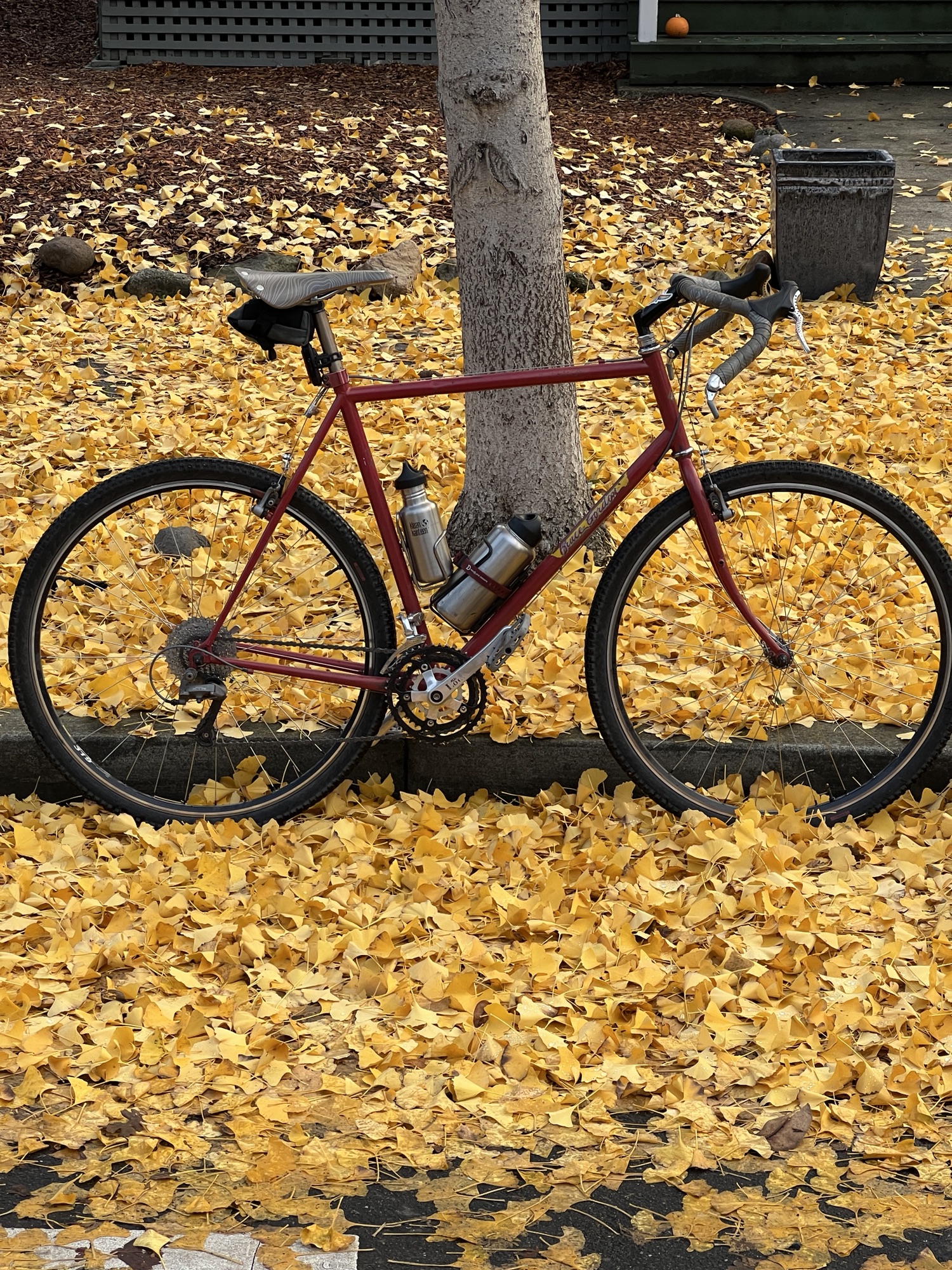 Fine Bikes – Bike Tinker